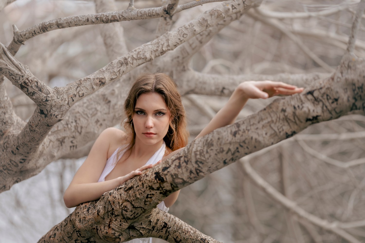 Capturing Elegance: A Photoshoot with Grace Carey at the Palace of Fine ...